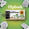 Sunflower Life Cycle Flipbook - OODHA ART