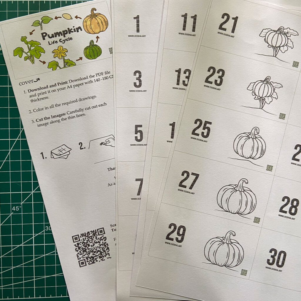 Pumpkin Life Cycle Flipbook - OODHA ART